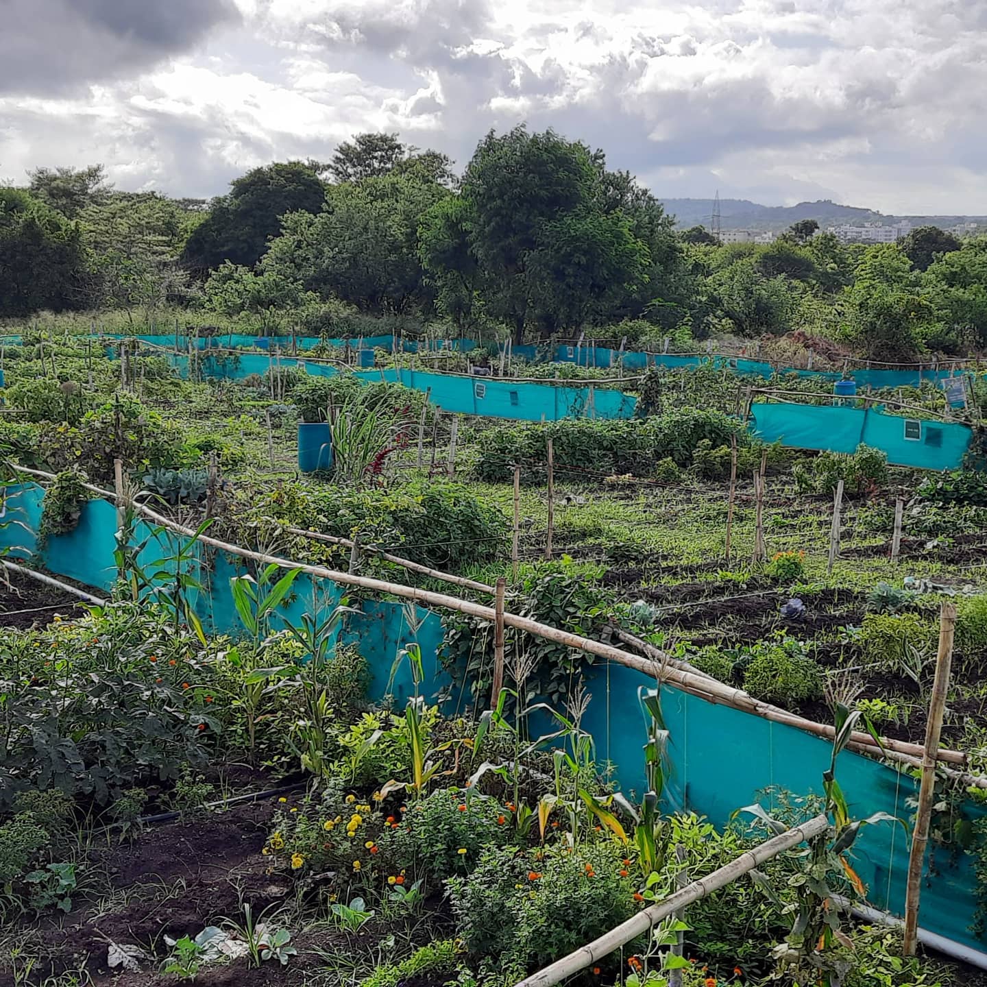 Our Farm – Mrudgandh