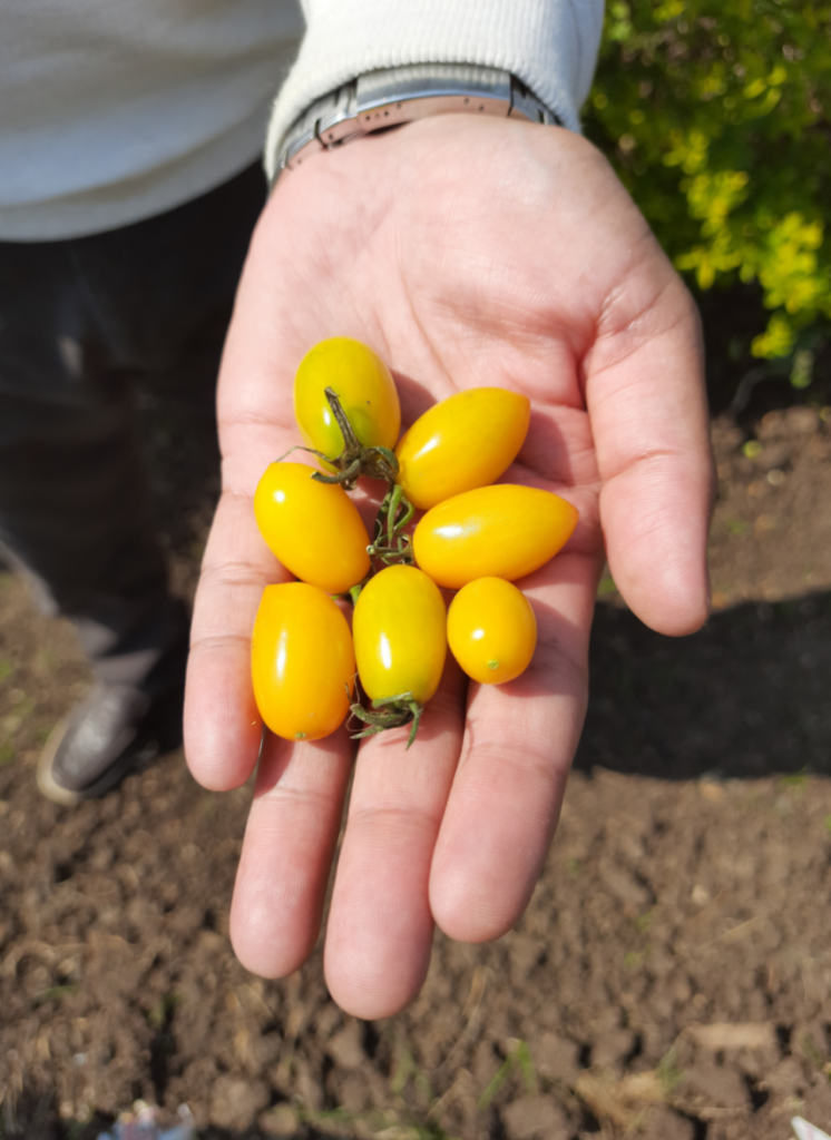 Our Farm – Mrudgandh